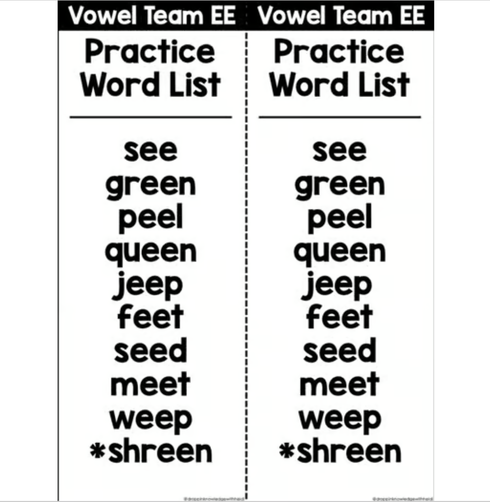 Phonics Skill-Based Spelling Challenges! VOWEL TEAMS/Silent E - Droppin ...