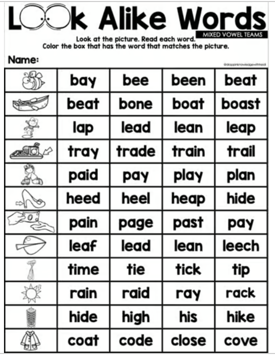 Look Alike Words - Vowel Teams - Droppin Knowledge