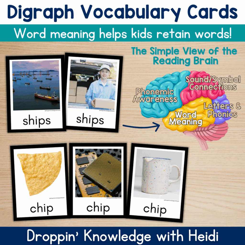 Digraph Vocabulary Cards Phonics Comprehension Meaning Consonant Digraphs - Droppin Knowledge